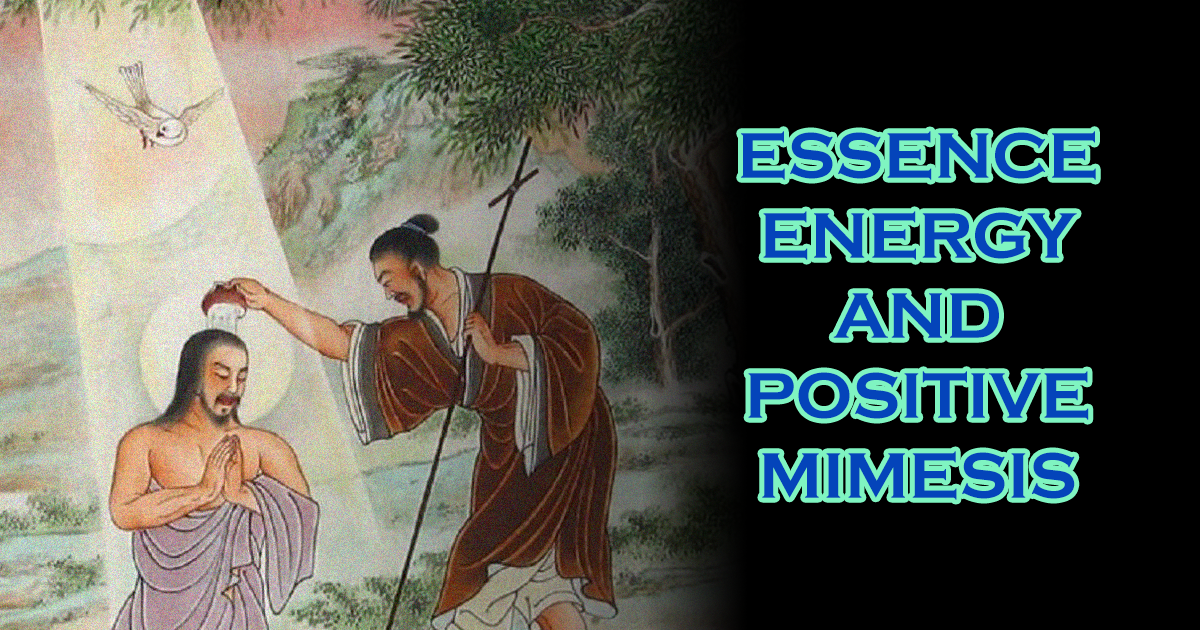 Essence, Energy, and Positive Mimesis - A Neighbor's Choice by David ...