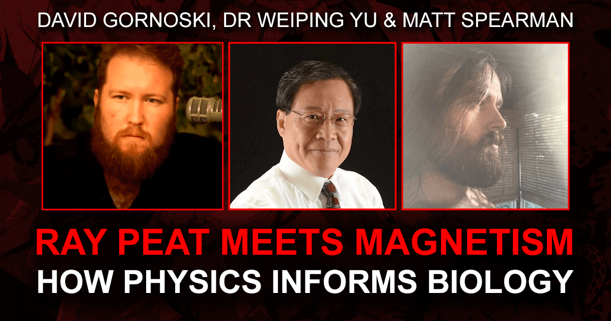 Ray Peat Meets Magnetism: How Physics Informs Biology with Dr. Yu and ...