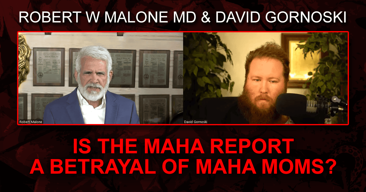 Is the MAHA Report a Betrayal of MAHA Moms? Robert W Malone Reacts - A ...