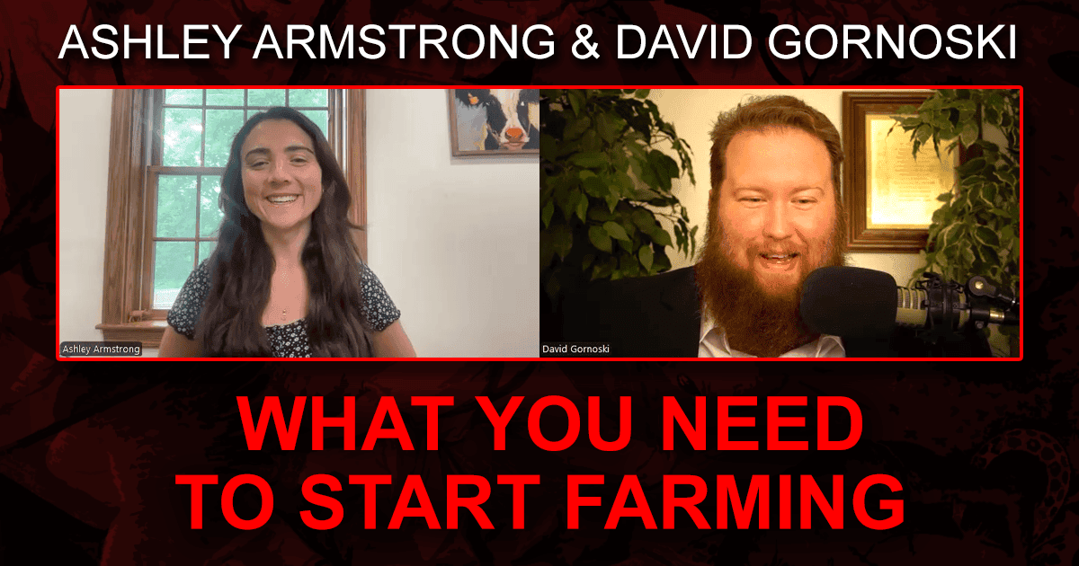What You Need to Start Farming with Ashley Armstrong - A Neighbor's ...